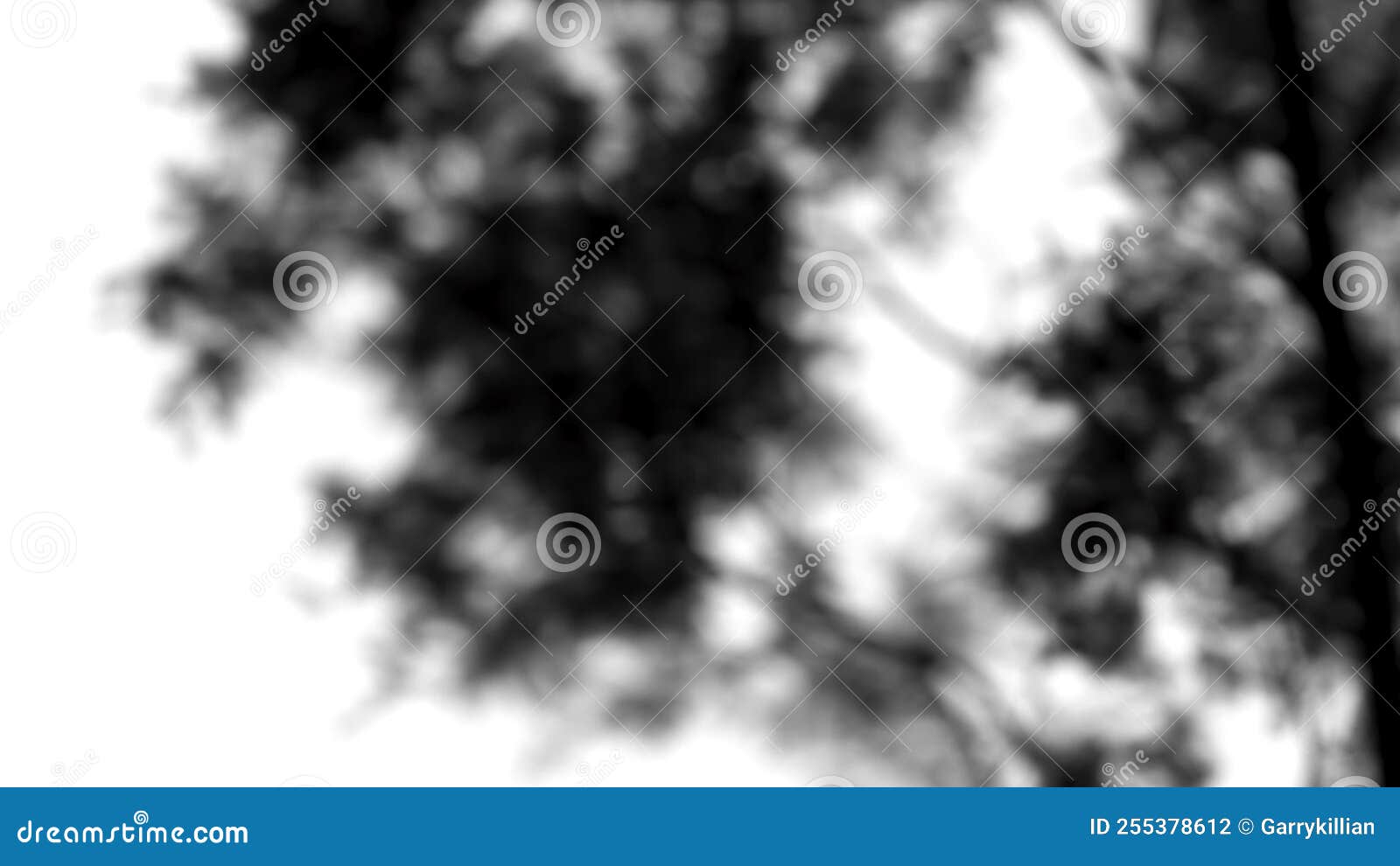 Shadow of Moving Tree Leaves on the Wall Loopable Background. 3d Render ...