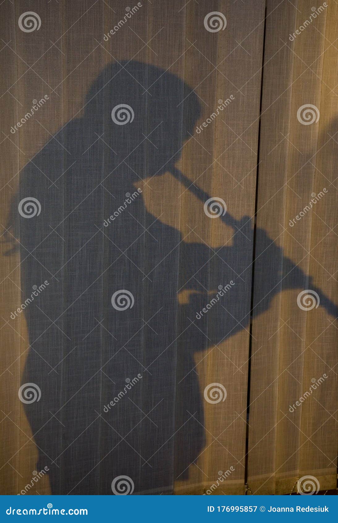 Shadow of a Musician Playing the Flute on Verticals Stock Image - Image ...