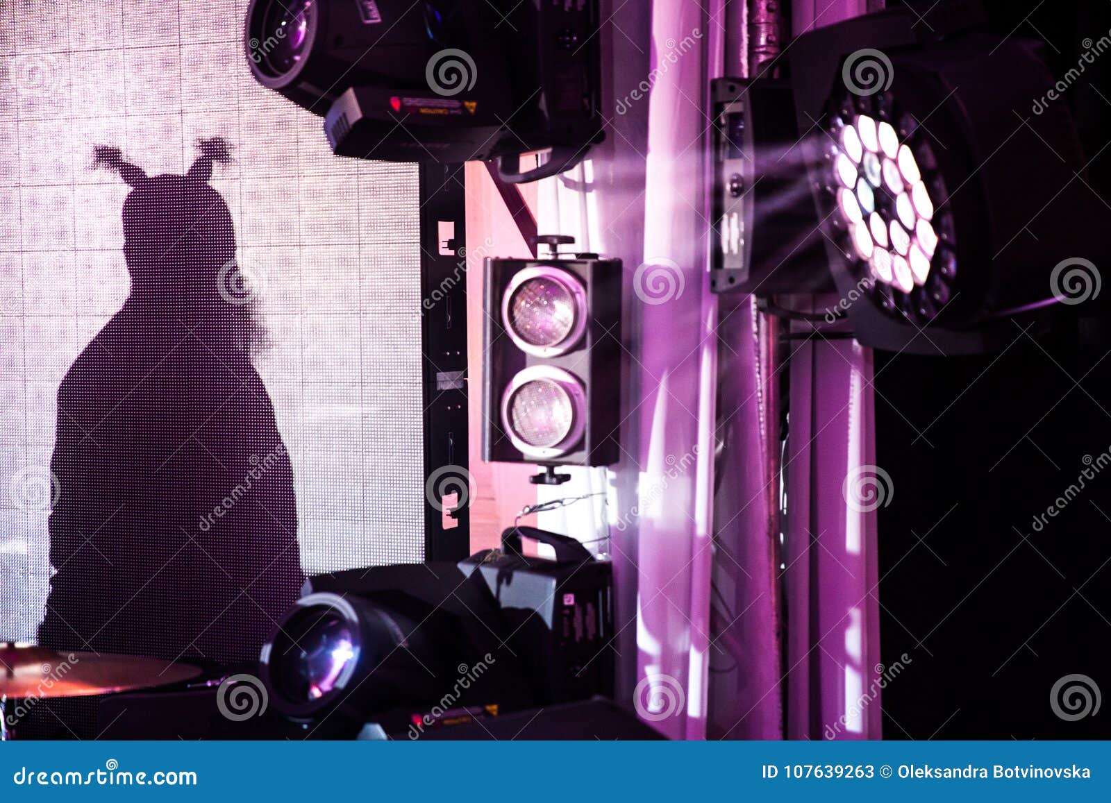The Shadow of the Musician on Stage. Wedding Party Stock Image - Image ...