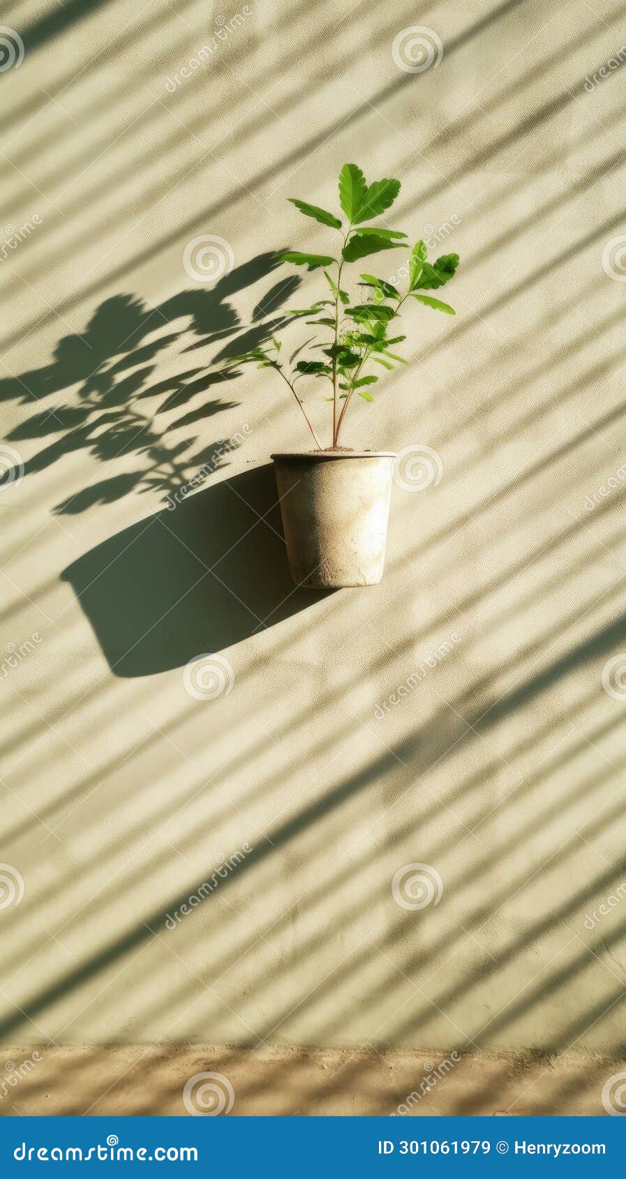Shadow on a Natural-colored Wall from a Window Stock Image - Image of ...