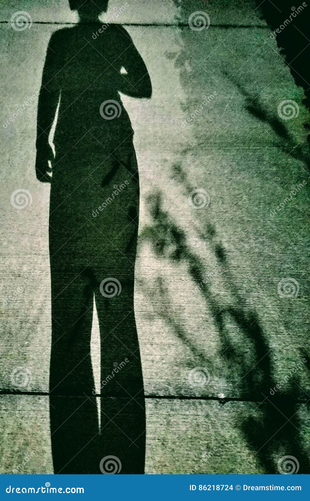 Shadow and nature stock photo. Image of nature, cast - 86218724