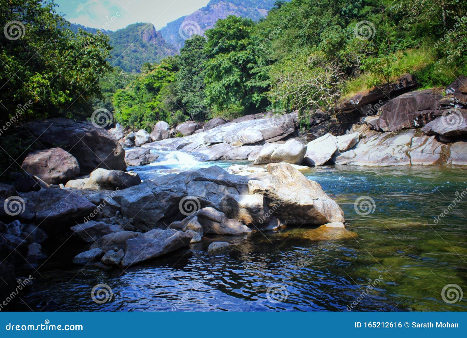 Shadow of nature stock photo. Image of shadow, nature - 165212616