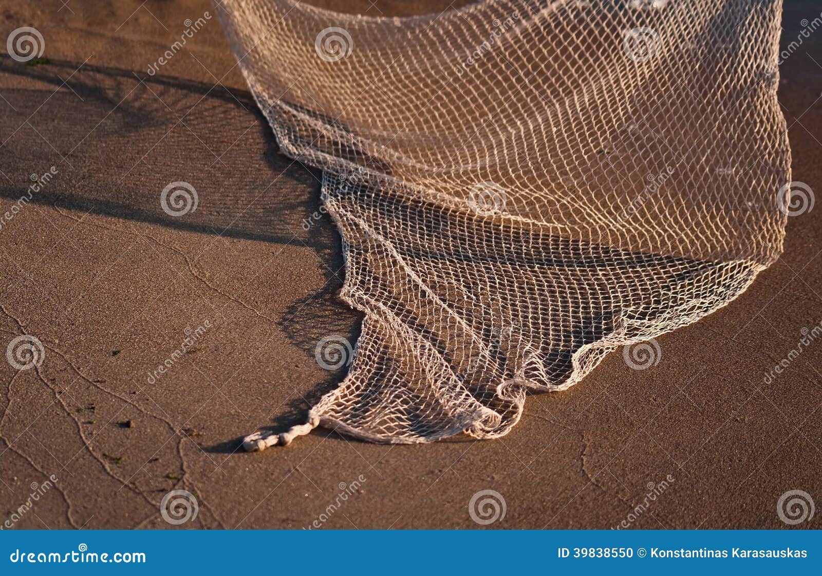 Shadow Net Stock Photos - Download 4,587 Royalty Free Photos