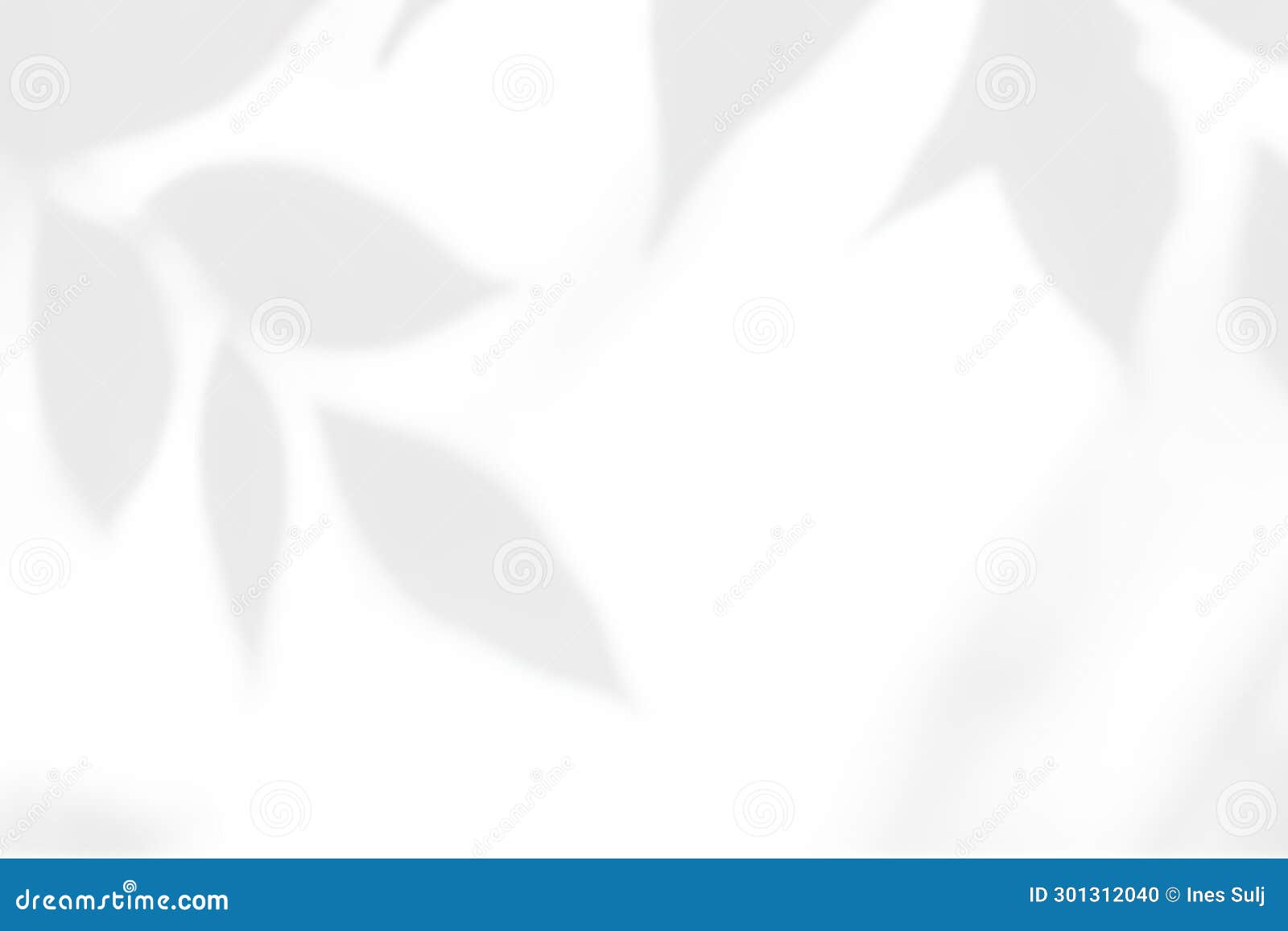 Shadow Overlay Effect. Abstract Sunlight Background with Organic ...