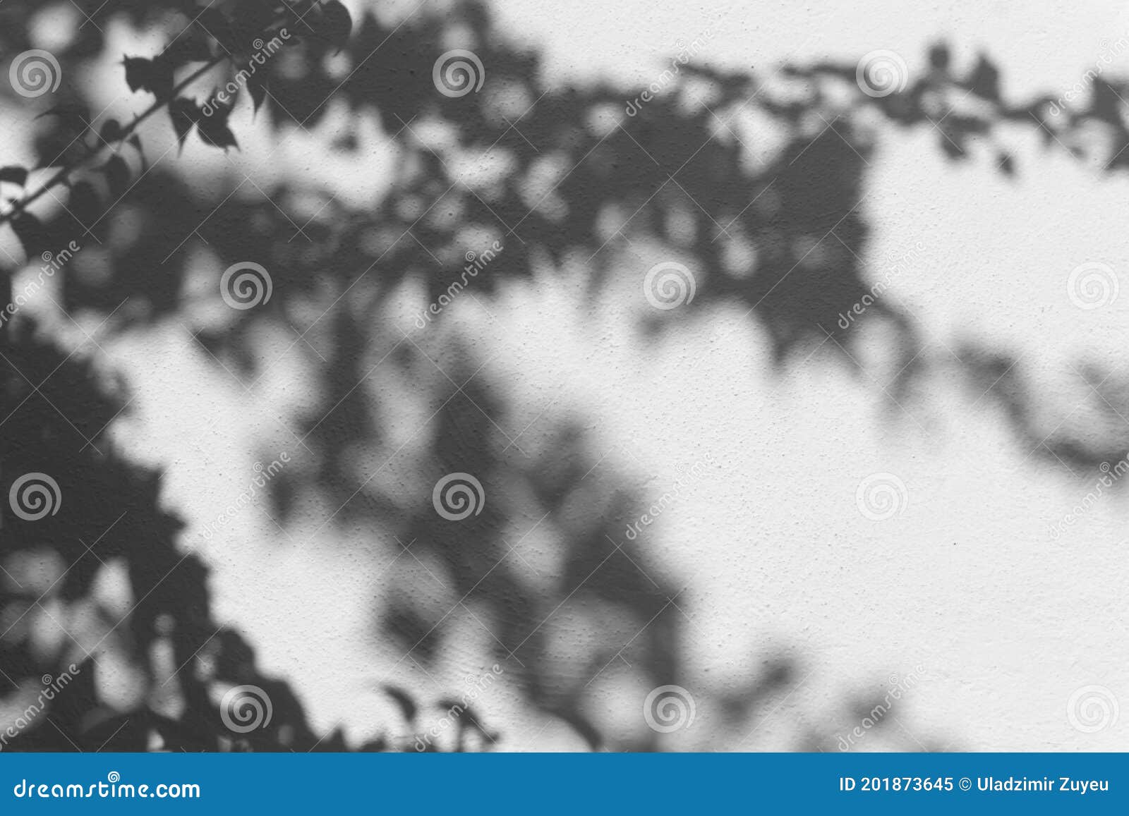 Shadow Overlay Effect. Blur Shadows of Plants and Tree Leaves on a ...