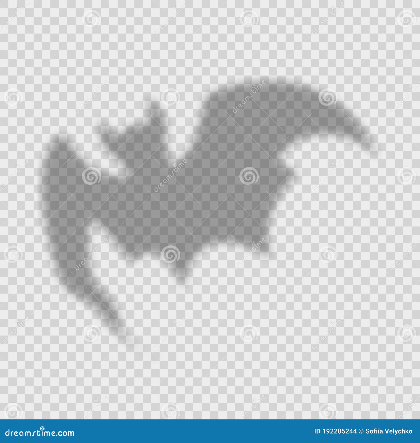 Shadow Overlay Effect for Halloween Background with Flying Scary Bat ...
