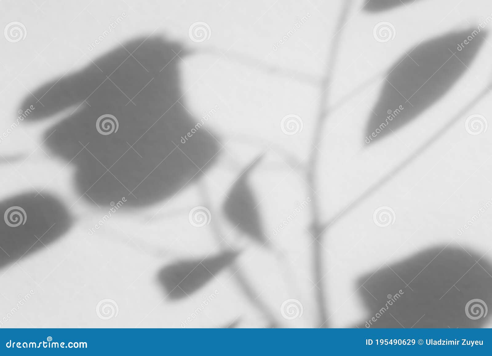 Shadow Overlay Effect for Photo. Shadows from Tree Leaves Palm and ...