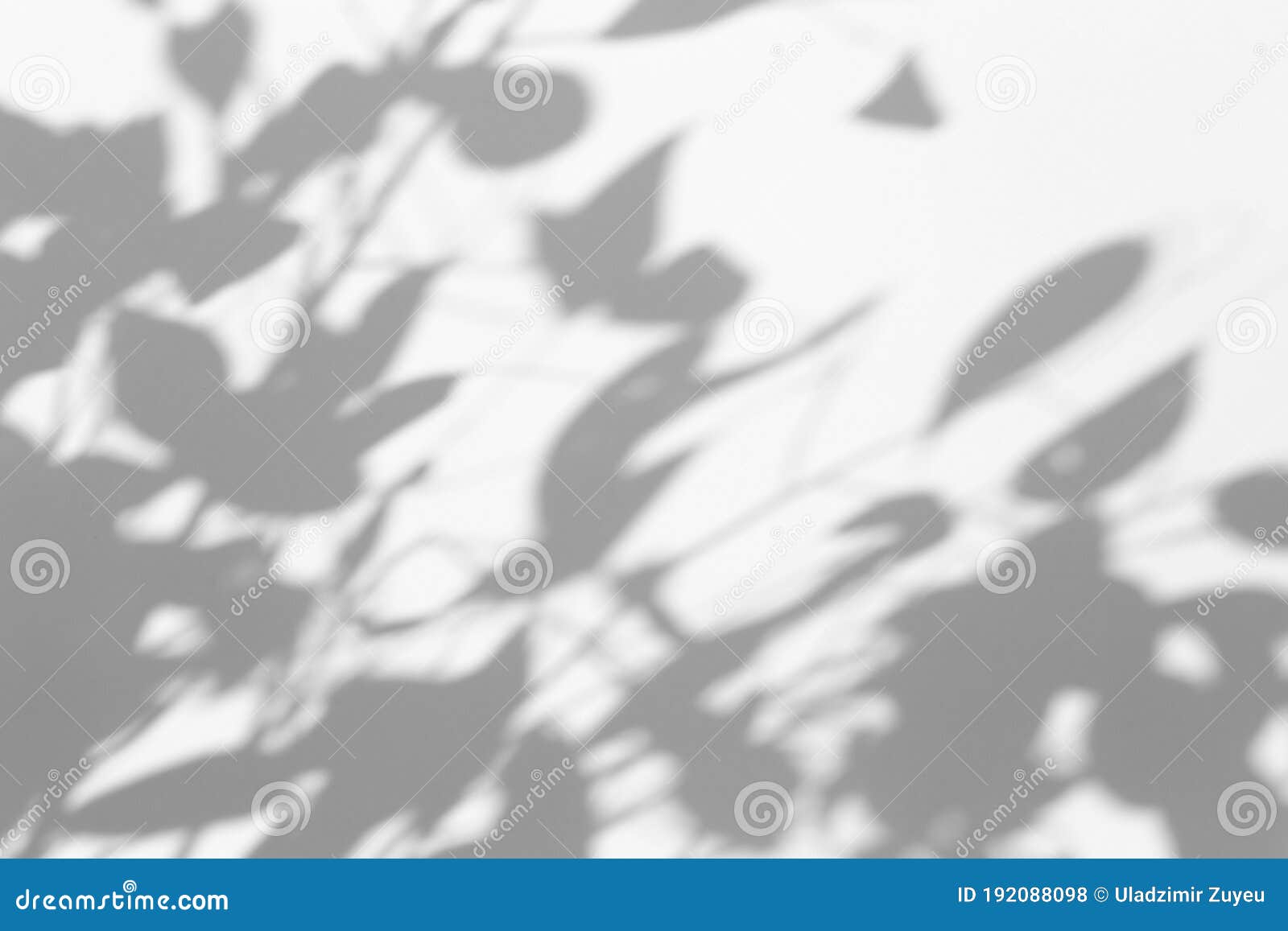 Shadow Overlay Effect for Photo. Shadows from Tree Leaves and Tropical ...