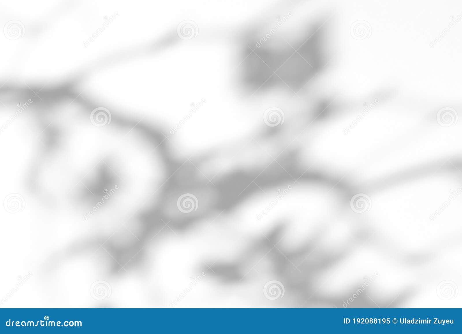 Shadow Overlay Effects For Branding. Mockups. Scenes Of Natural ...