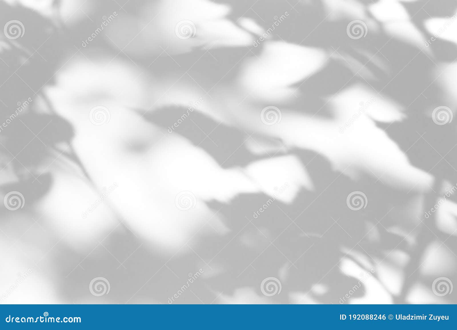 Shadow Overlay Effect for Photo. Shadows from Tree Leaves and Tropical ...