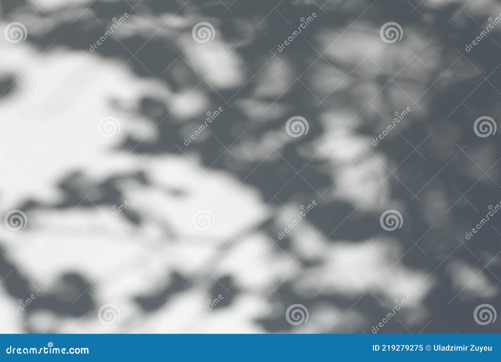 Shadow Overlay Effect for Photo. Shadows from Tree Leaves and Tropical ...