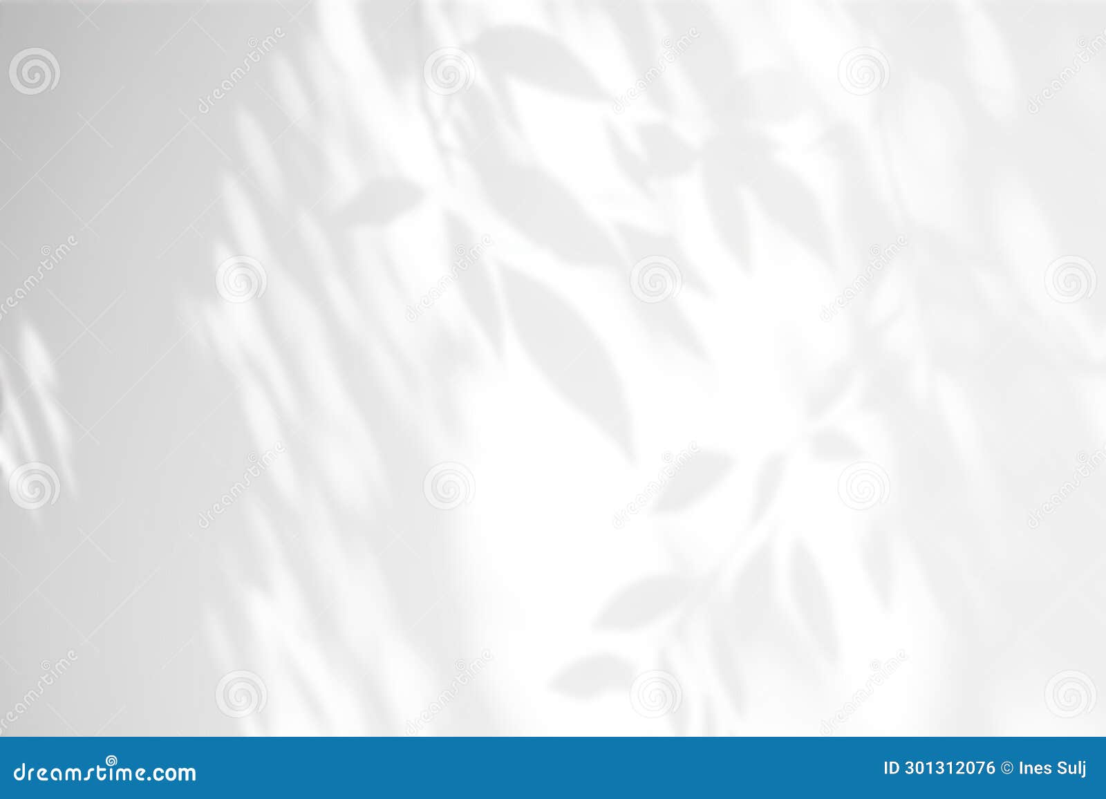 Shadow Overlay Effect. Abstract Sunlight Background with Organic ...