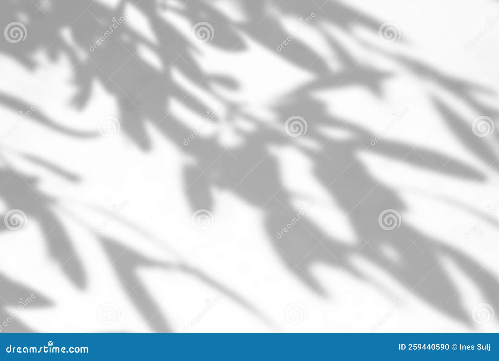 Shadow Overlay Effect on White Background. Abstract Sunlight Background ...