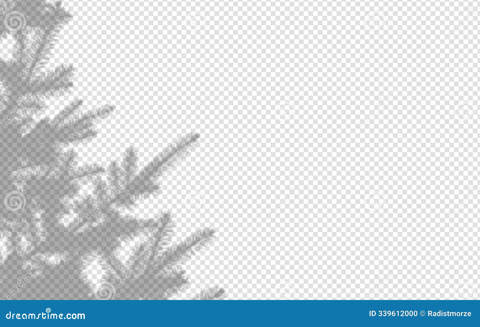 Shadow Overlay from a Pine Tree Branch Isolated on a Transparent ...