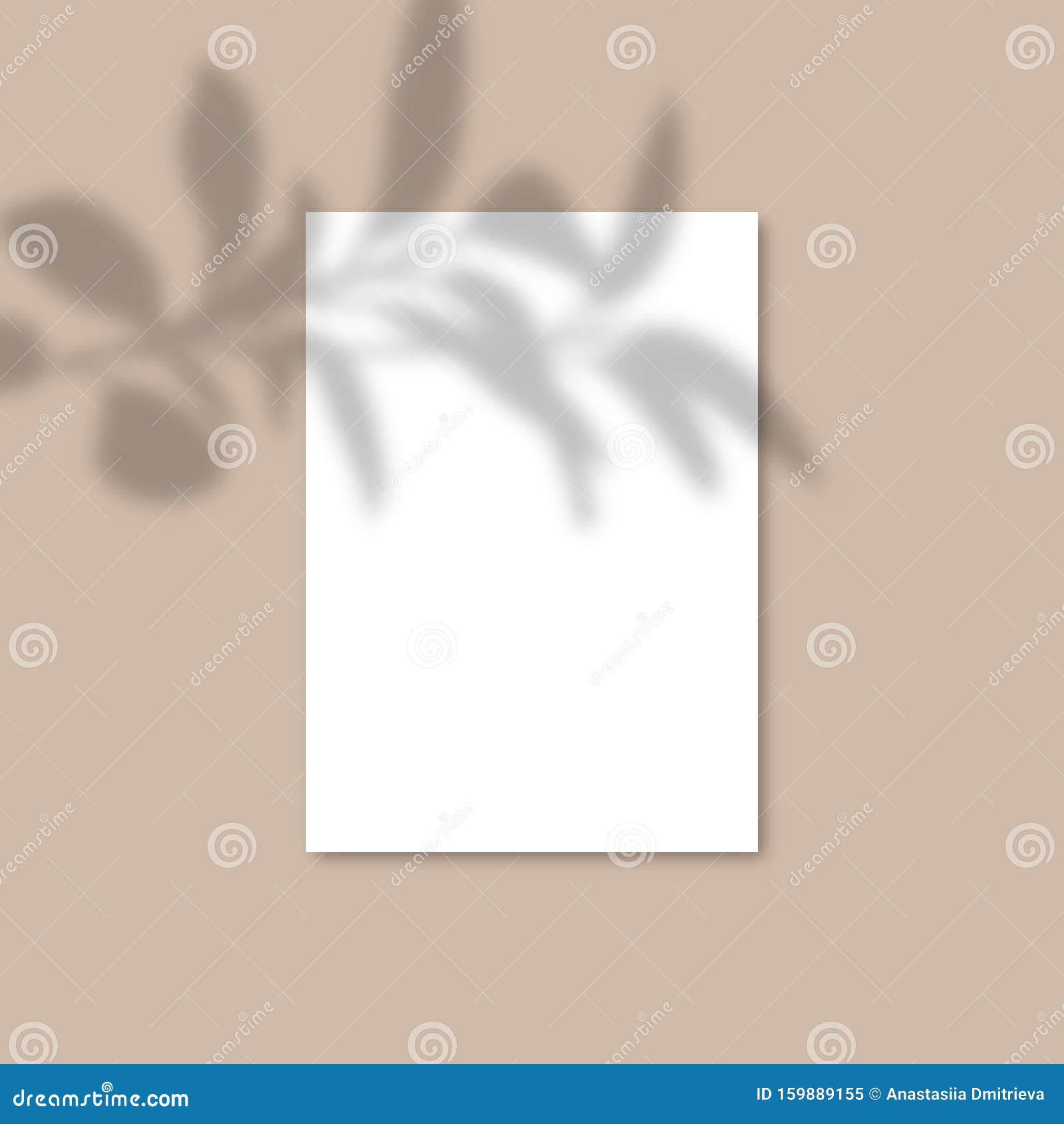 Shadow Overlay Mockup. Realistic White Paper And Cardboard Posters And ...