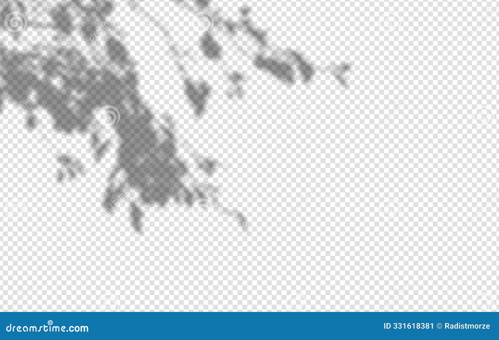 Shadow Overlay from a Tree Branch Isolated on a Transparent Background ...