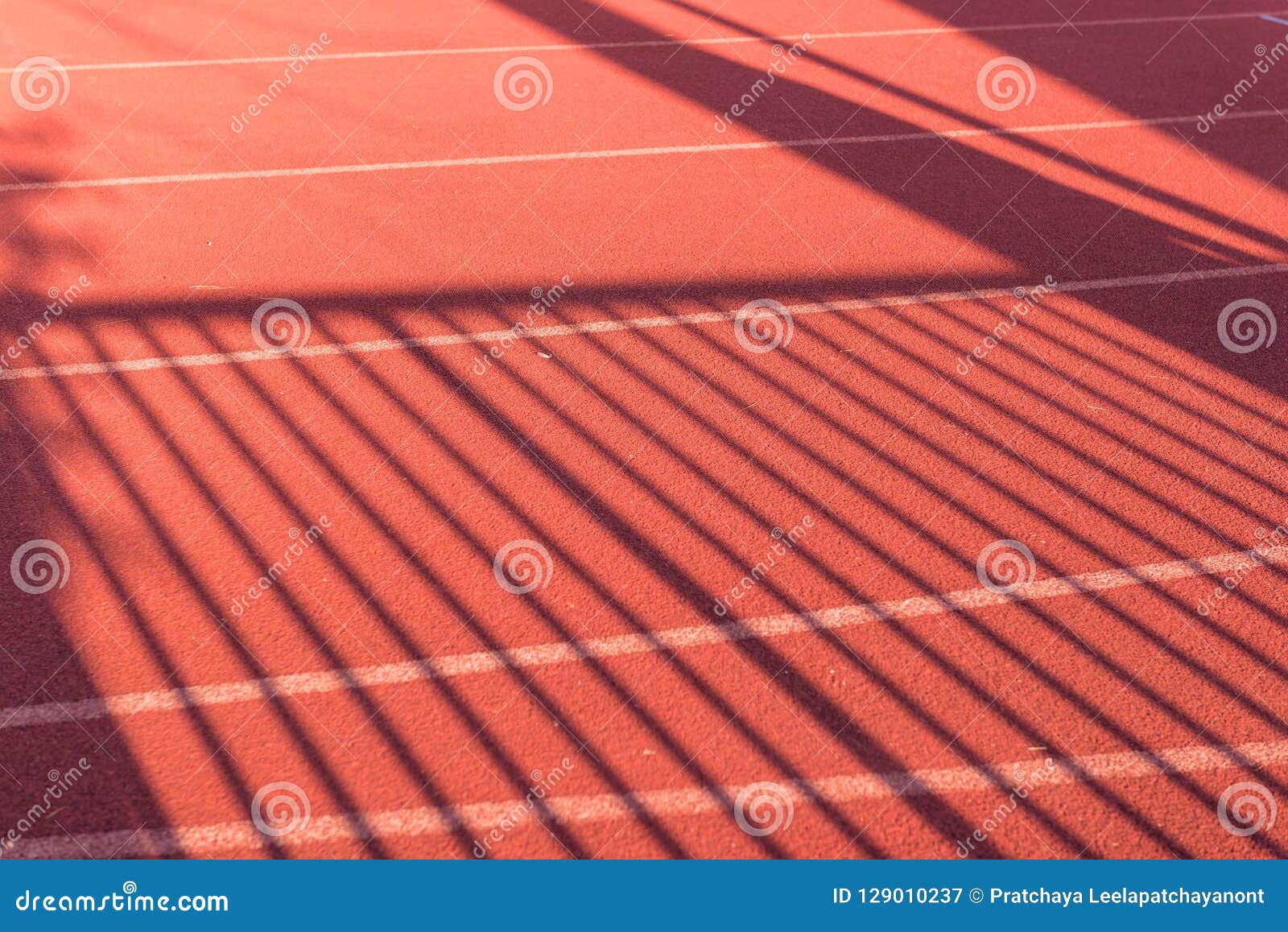 Shadow of Palisade on Running Track Stock Image - Image of arena ...