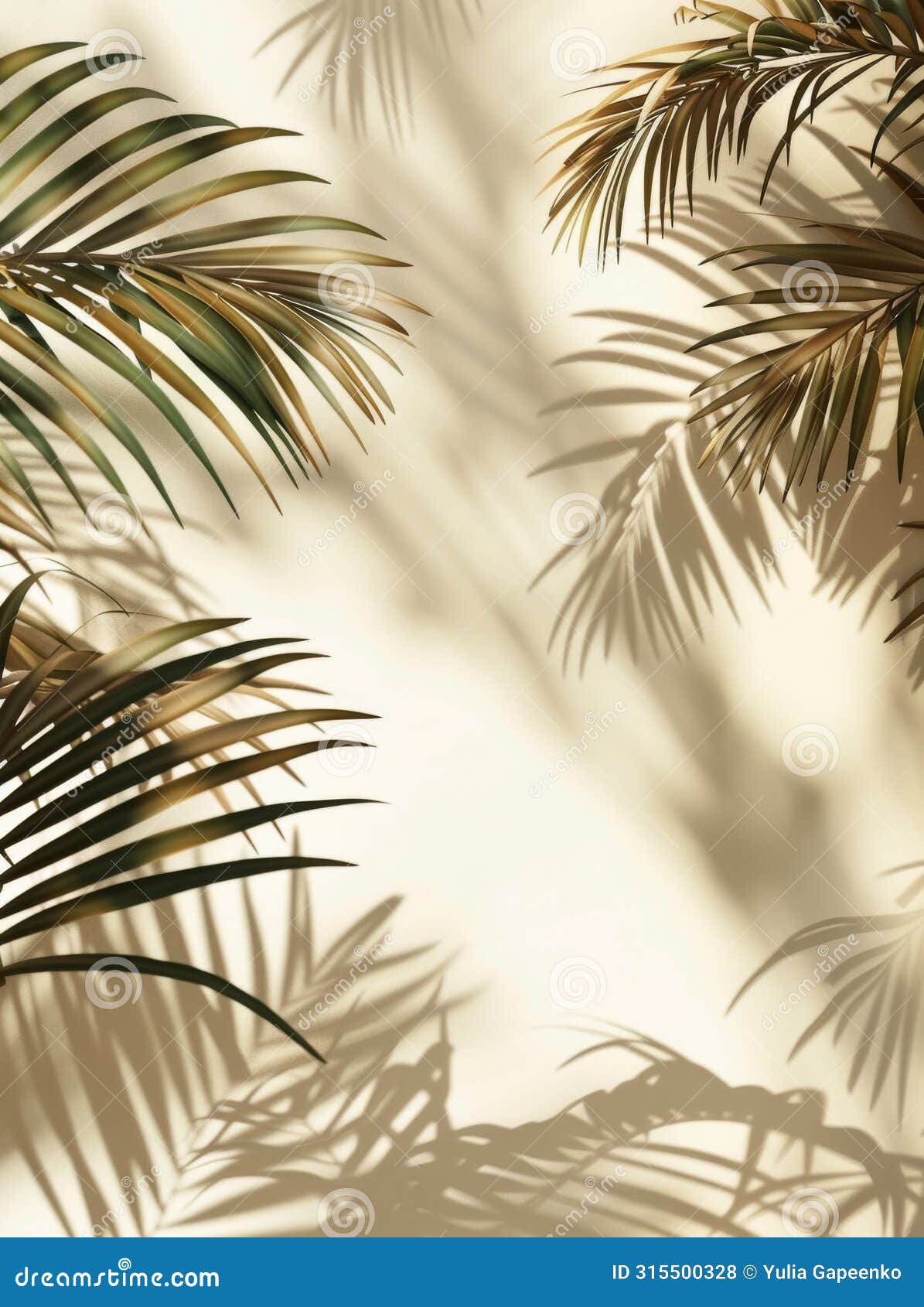 Palm Tree Shadow on Wall stock photo. Image of palm - 315500328