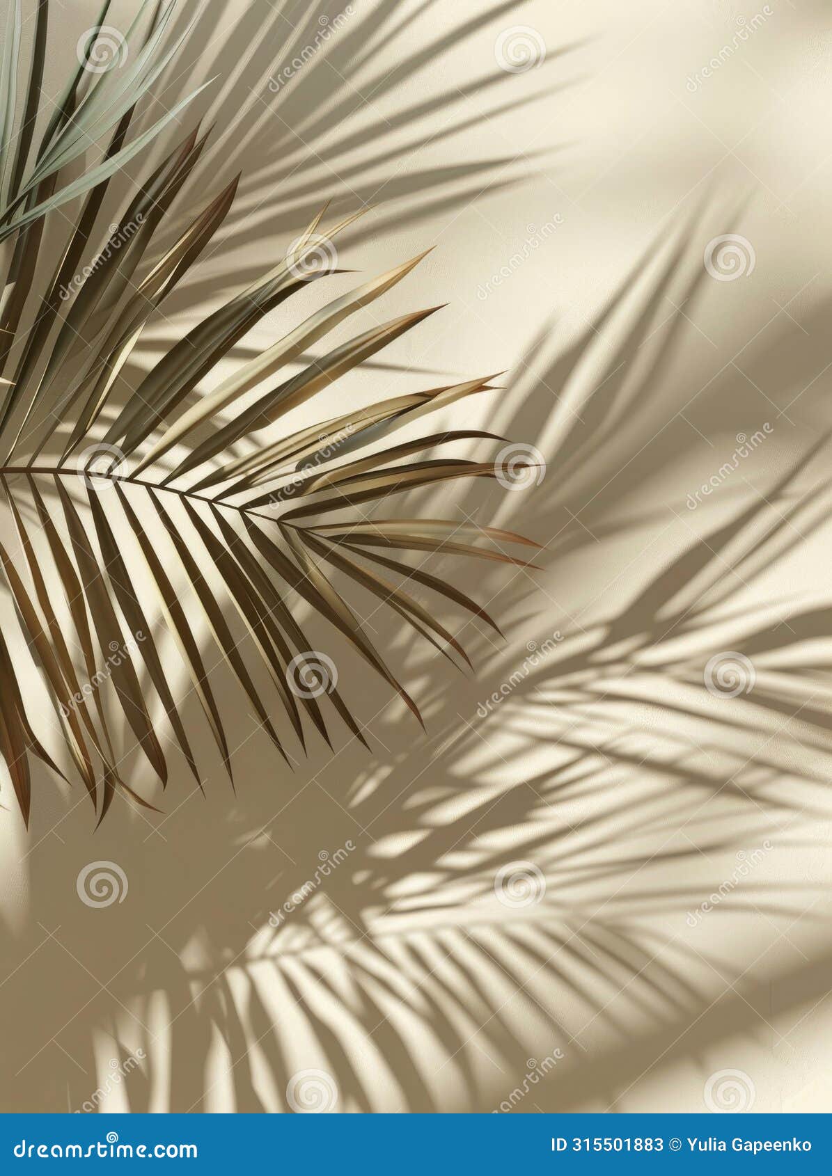 Palm Tree Shadow on Wall stock image. Image of generative - 315501883