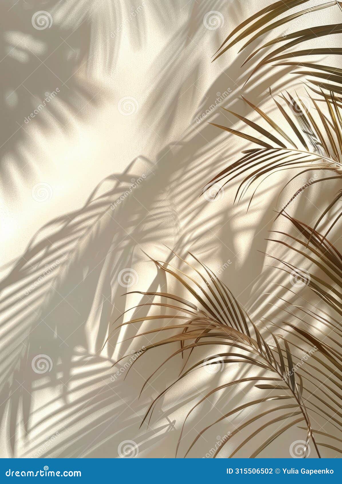 Palm Tree Shadow on Wall stock photo. Image of nature - 315506502
