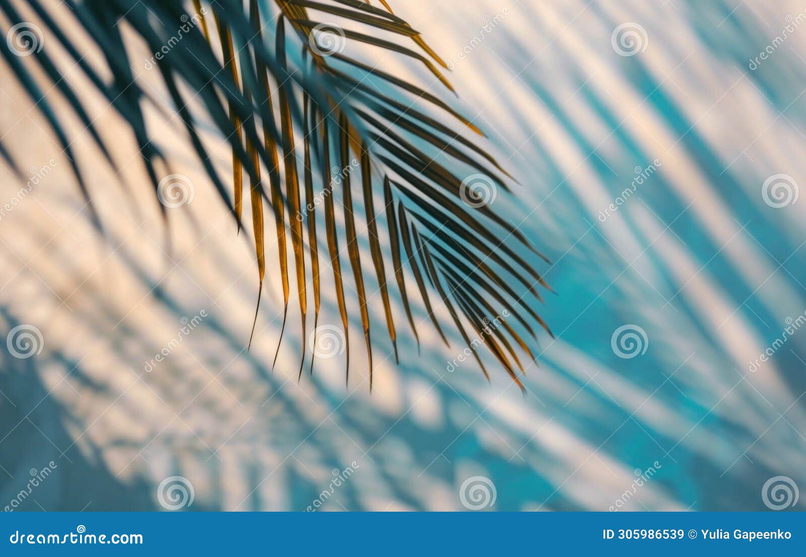 Shadow of Palm Tree Leaf in Clean, Blue, Minimalist Stock Image - Image ...