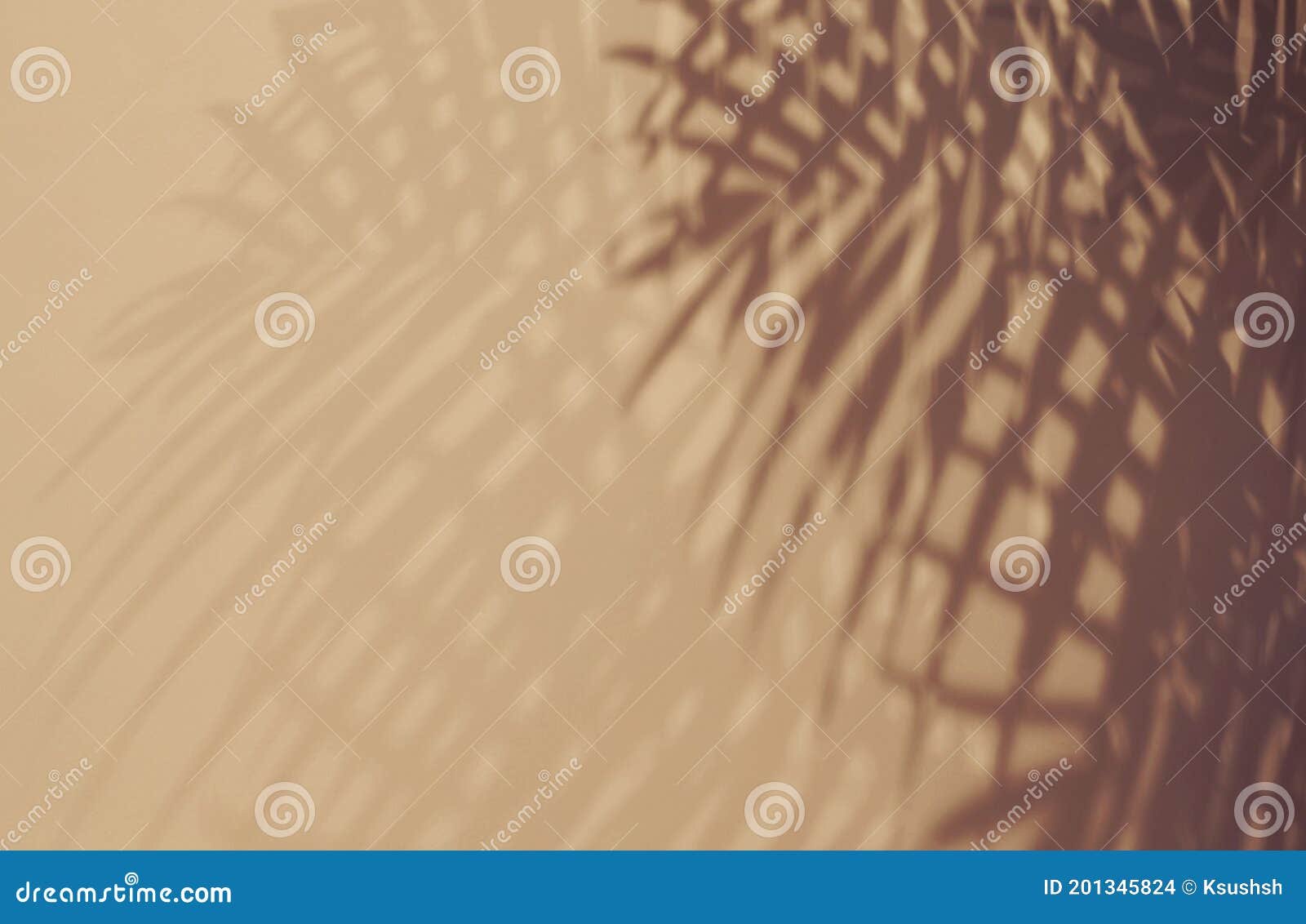 Shadow of Palm Tree Leaves on Beige Wall Stock Photo - Image of frame ...