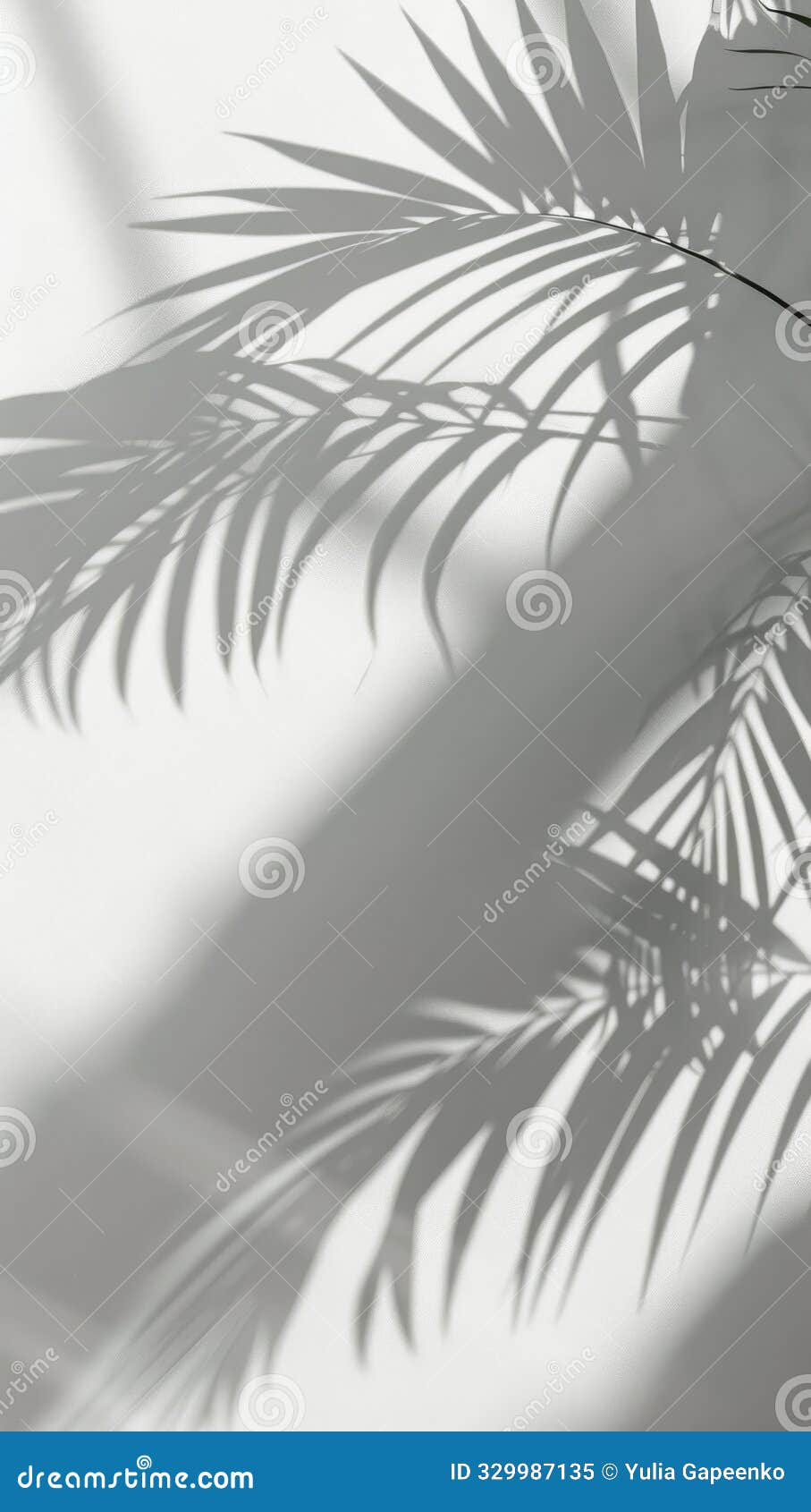 Shadow of Palm Tree Leaves on Wall Stock Image - Image of play, foliage ...