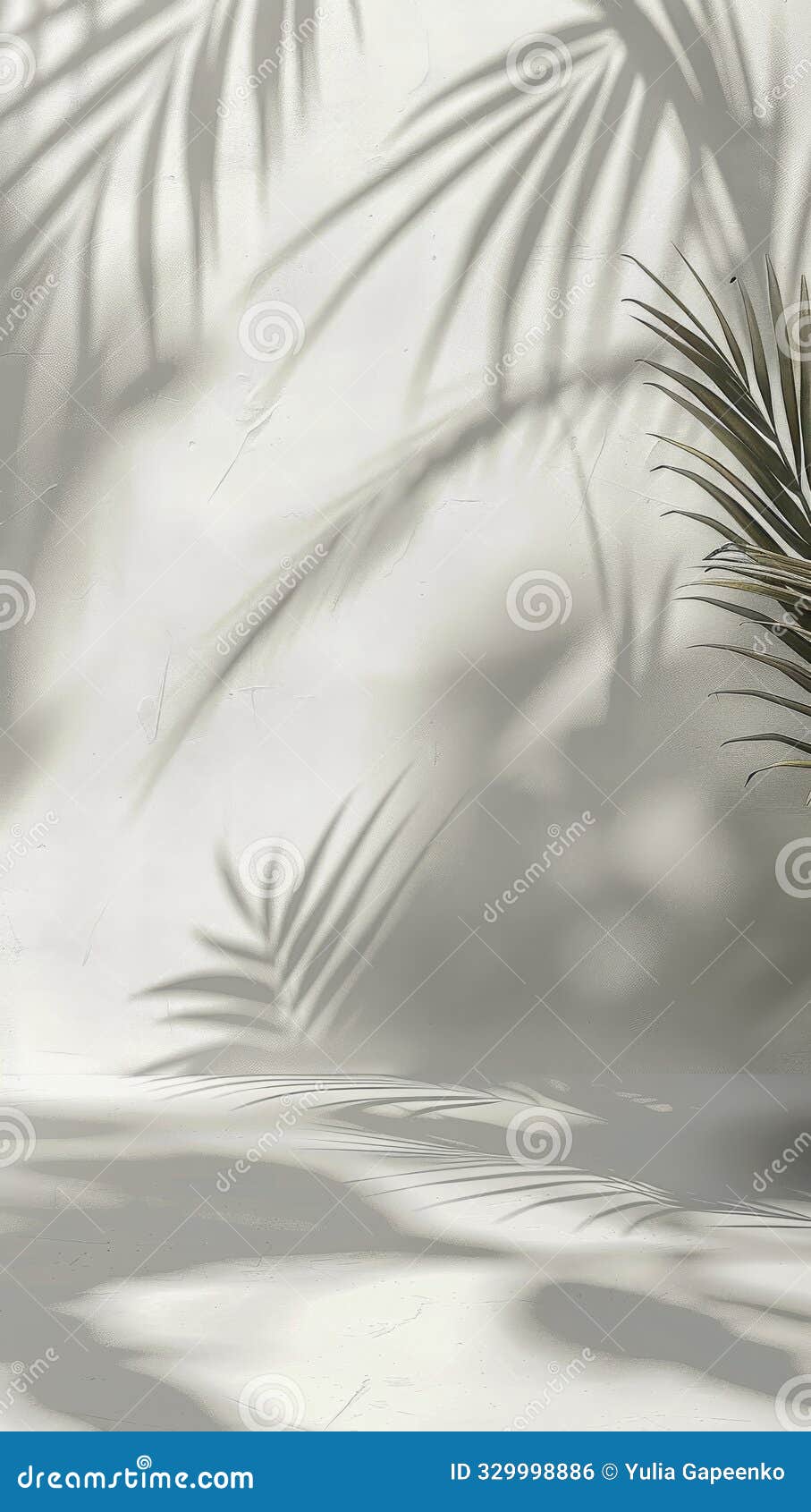 Shadow of Palm Tree Leaves on Wall Stock Photo - Image of dark, foliage ...