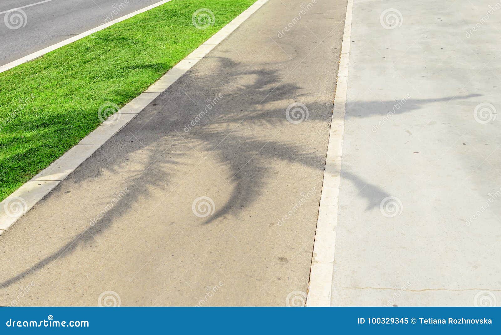 Shadow from a Palm Tree on the Sidewalk. Stock Image - Image of tourism ...