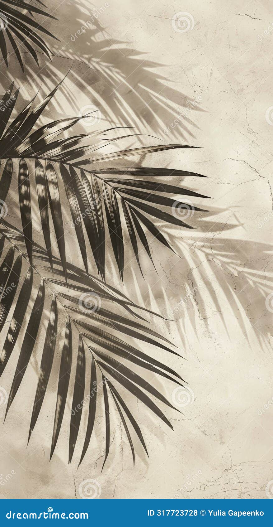 Shadow of a Palm Tree on a Wall Stock Photo - Image of daylight ...