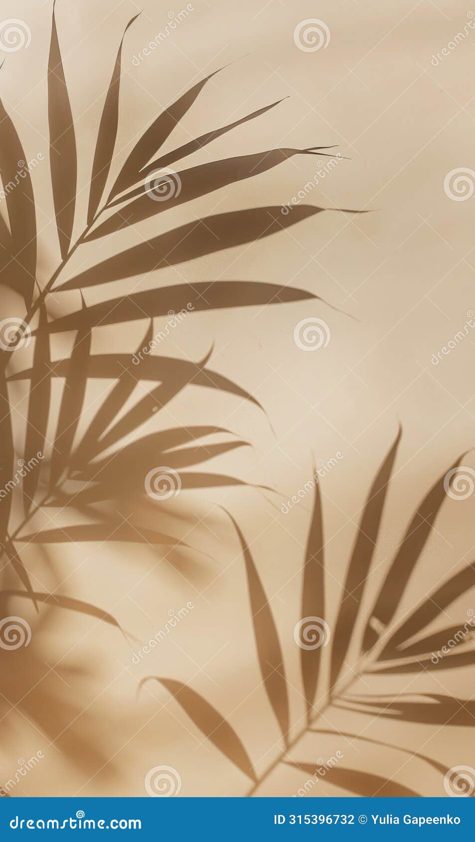 Shadow of a Palm Tree on a Wall Stock Photo - Image of solar, leaves ...