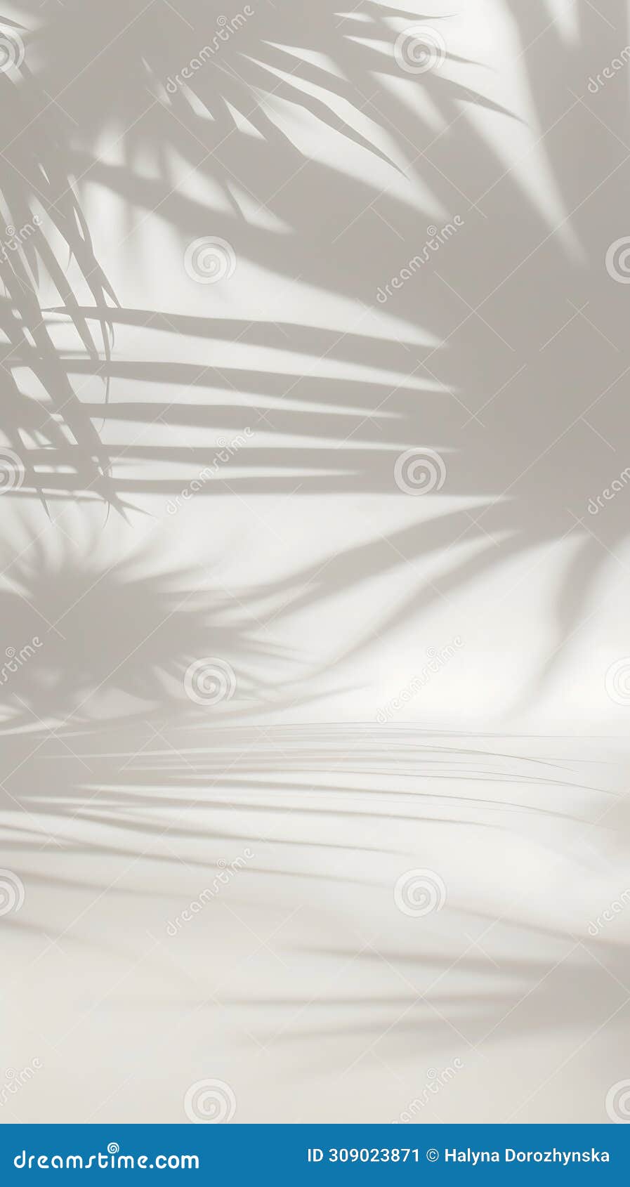Shadow of Palm Tree on White Wall. Generative AI Stock Illustration ...