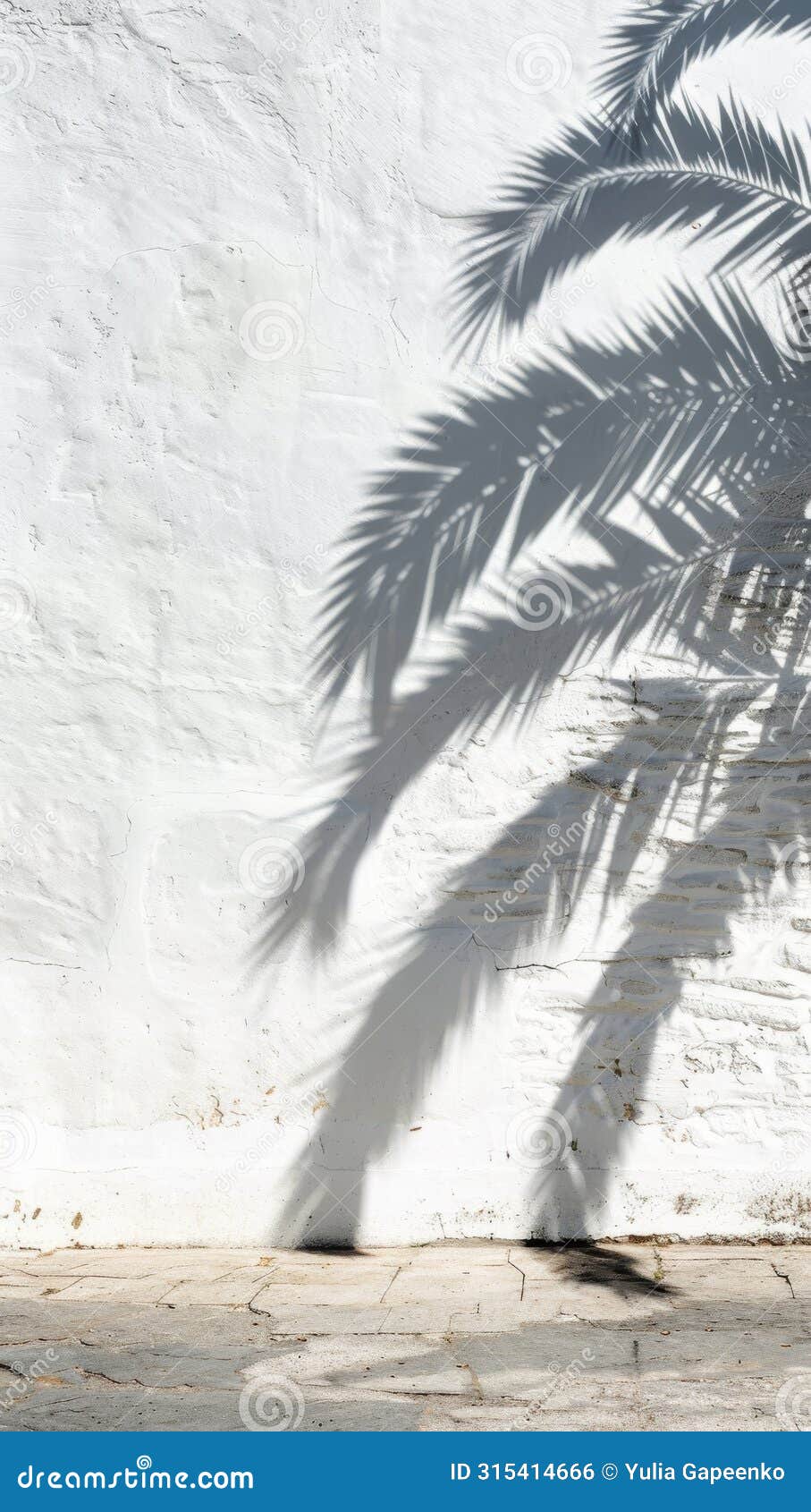 Shadow of a Palm Tree on a White Wall Stock Photo - Image of bright ...
