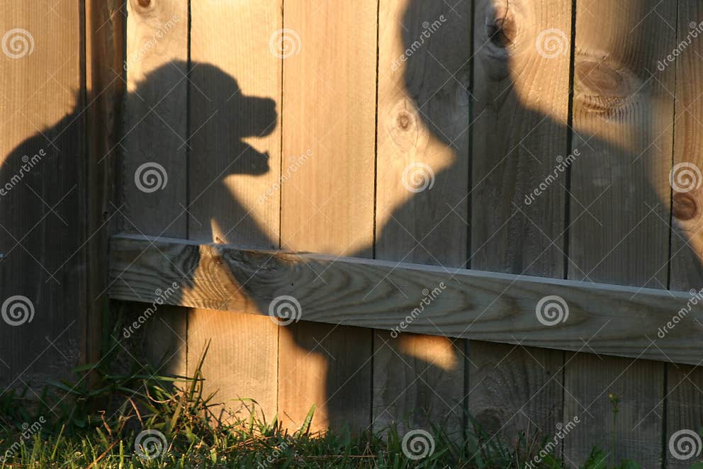 Shadow Pals stock image. Image of friends, pals, loss, male - 52499