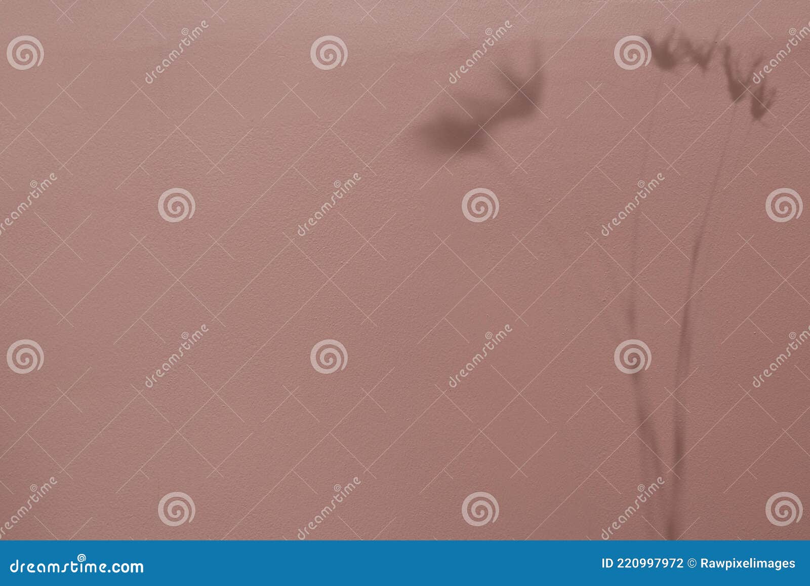 Shadow of Papyrus Plant on a Pink Wall Stock Photo - Image of creative ...