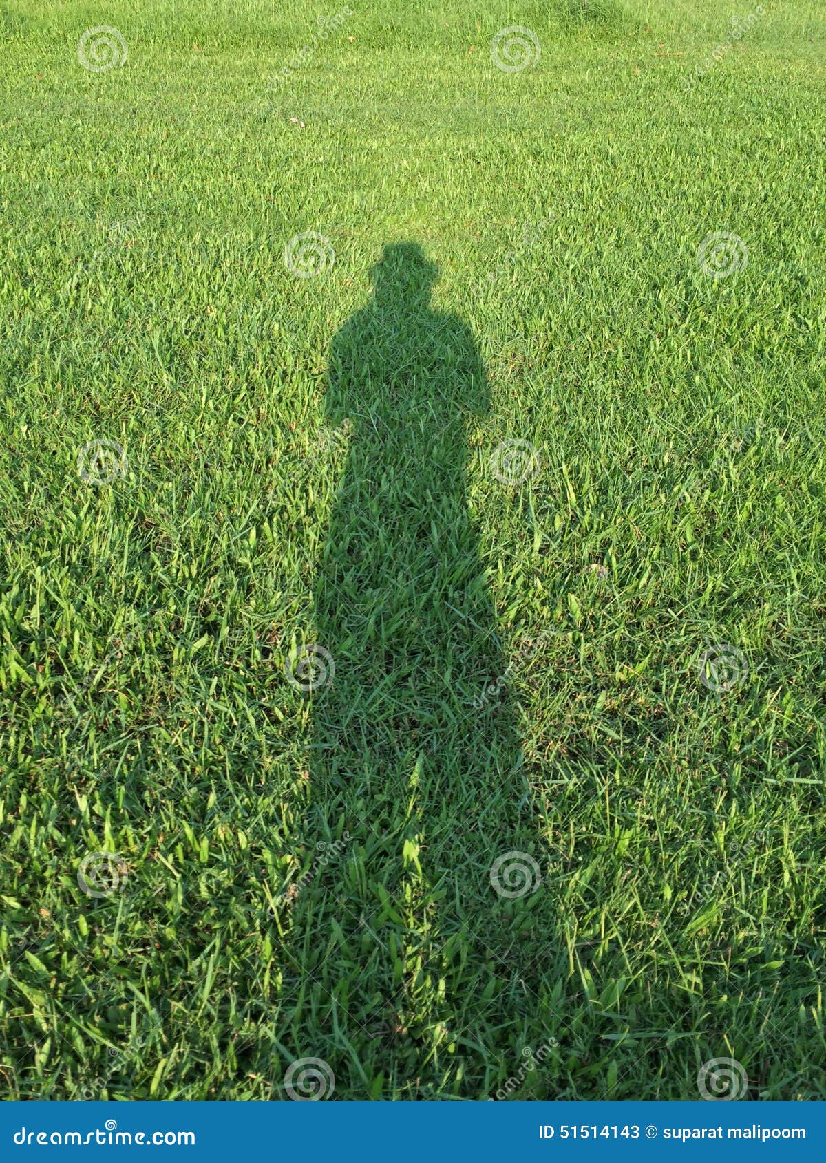 Shadow stock image. Image of shadow, green, floor, park - 51514143