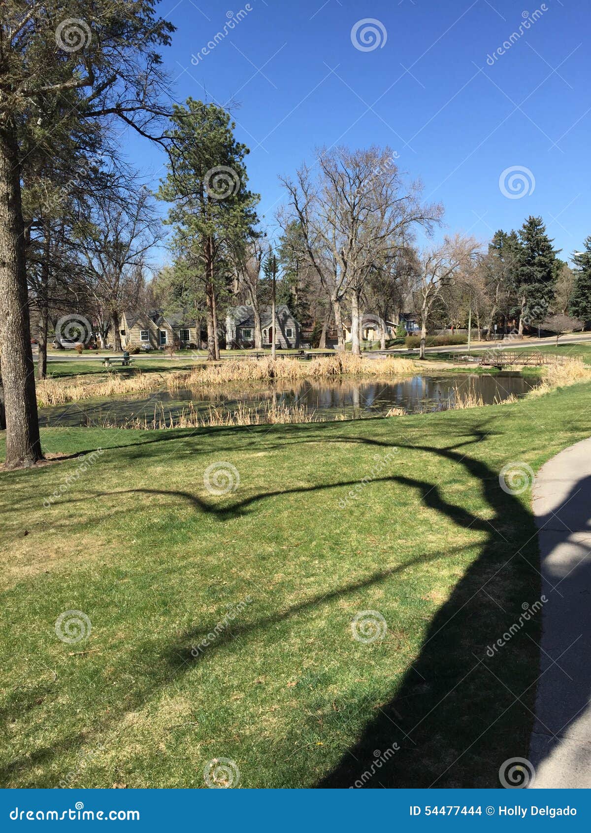 Shadow in the park stock photo. Image of shadow, beautiful - 54477444
