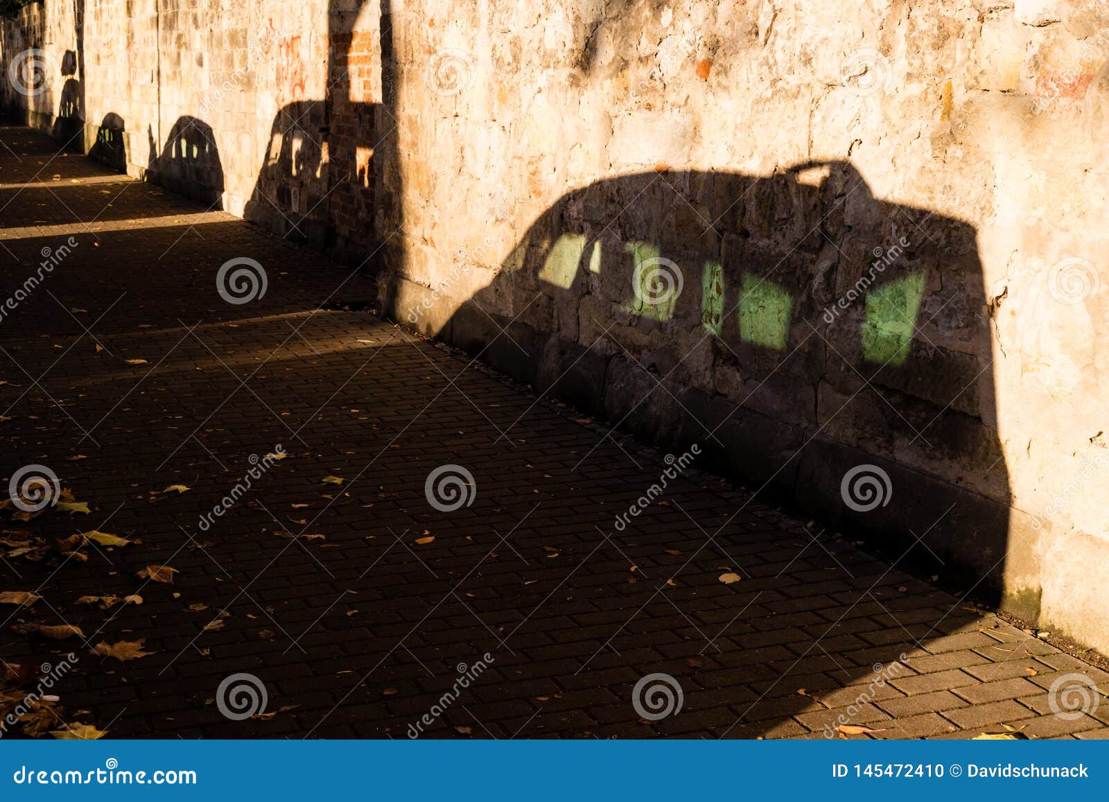 Shadow of Parked Cars at Sunrise Stock Photo - Image of side, outside ...
