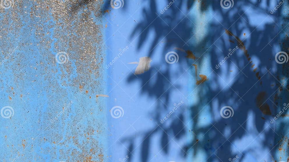 Shadow Pattern of Fluttering Tree on Rusty Blue Painted Background with ...
