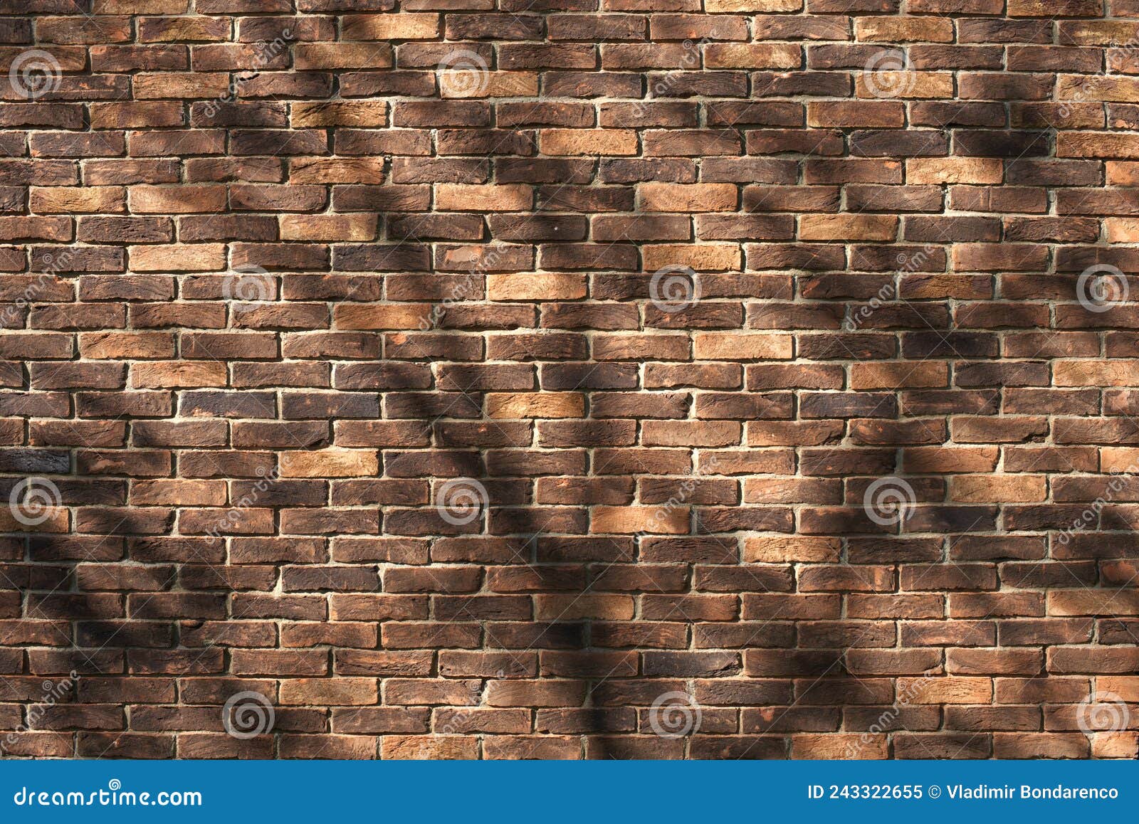 Shadow Pattern of Tree Branches on Brick Wall Stock Image - Image of ...