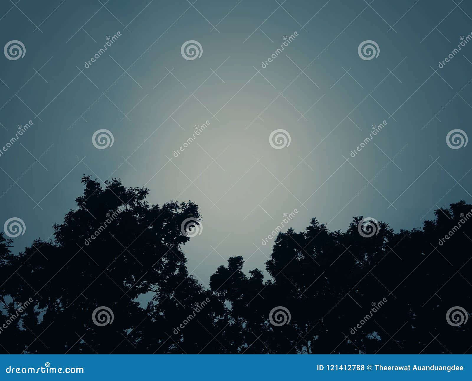 Shadow and Pattern Tree with Sky Background Stock Photo - Image of tree ...
