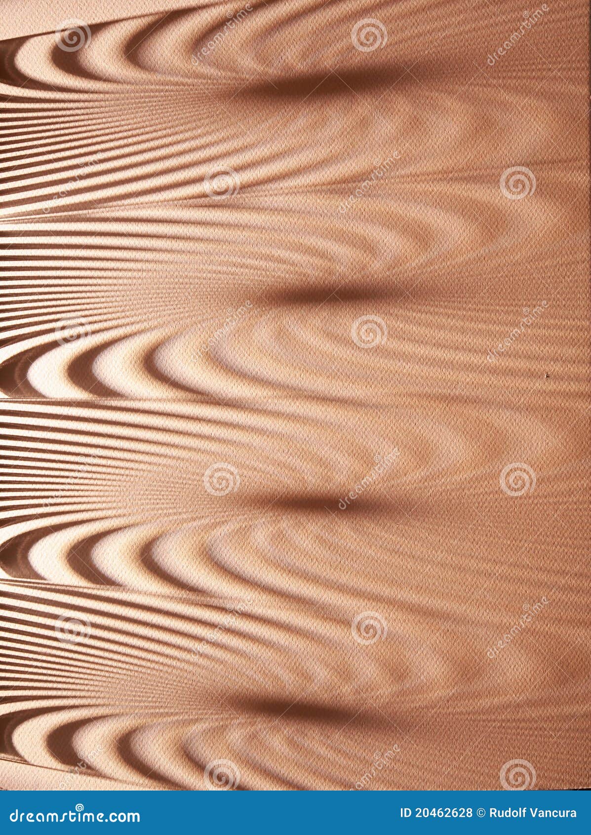 Wavy Lines And Long Shadows Of Beach Fence Protecting Native Grasses ...