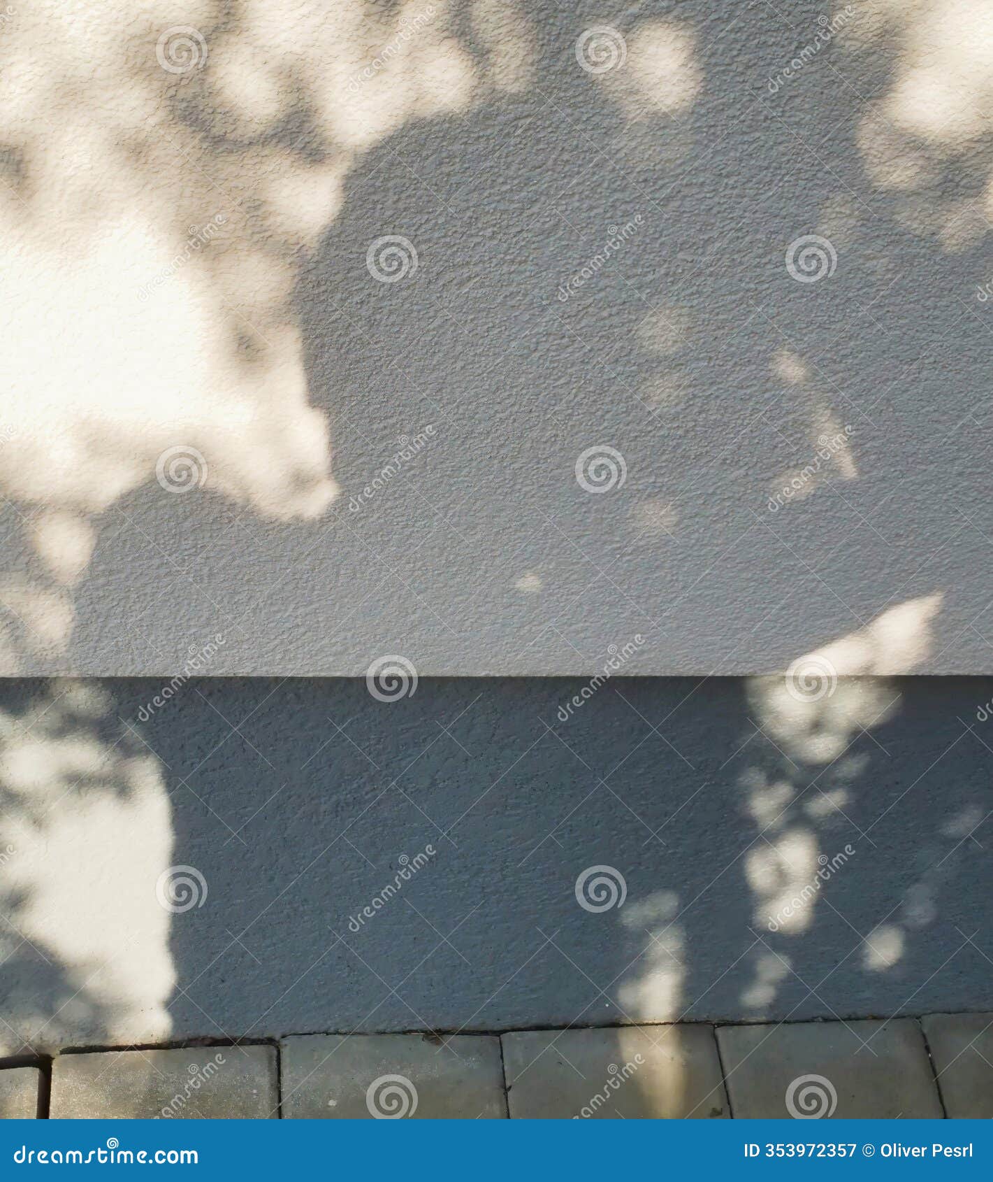 Shadow Patterns Projected Against a Textured Wall Surface with Nature ...