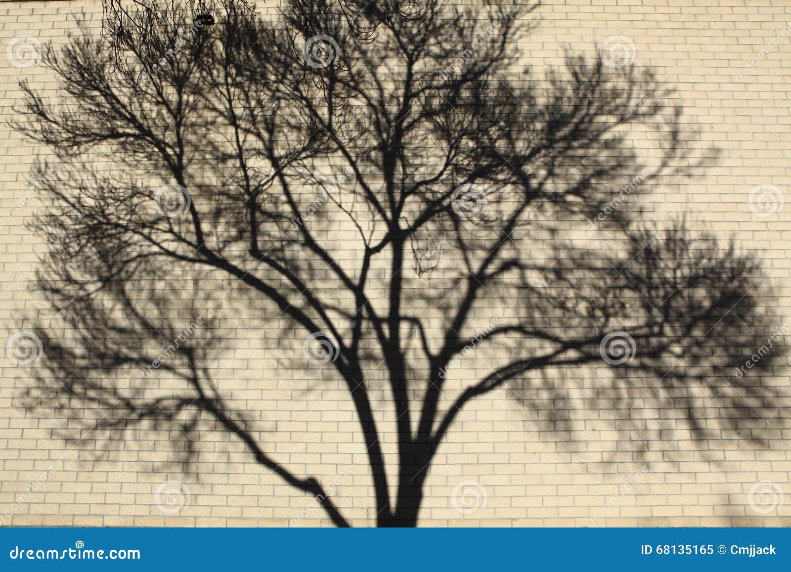 Shadow Patterns Royalty-Free Stock Photo | CartoonDealer.com #276015