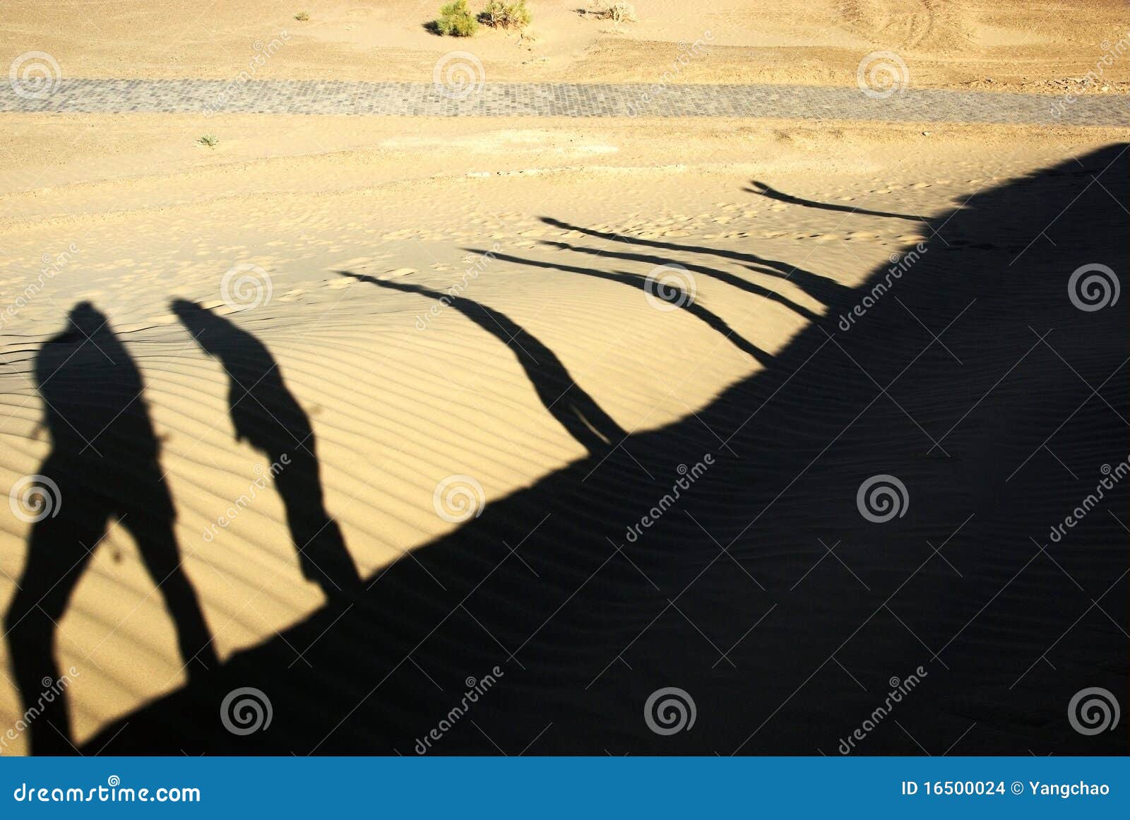 Shadow of people in desert stock photo. Image of desert - 16500024