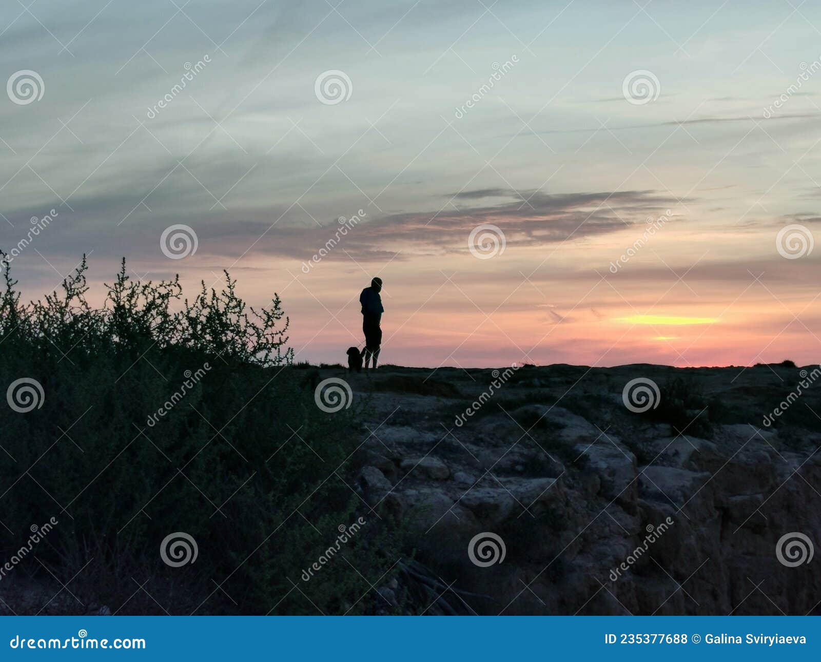 Shadow People and Dogs at Sunset Along the Beach Stock Photo - Image of ...