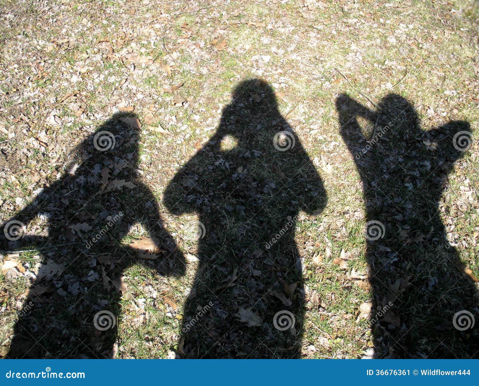 Shadow People stock image. Image of leaf, shapes, unique - 36676361