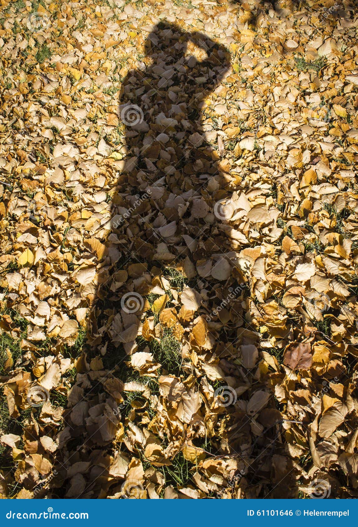 Shadow of a Person on a Background of Fall Leaves Stock Photo - Image ...