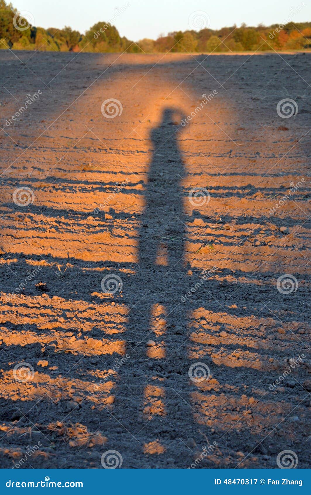 Shadow of Person on a Field Stock Image - Image of contrast, trees ...