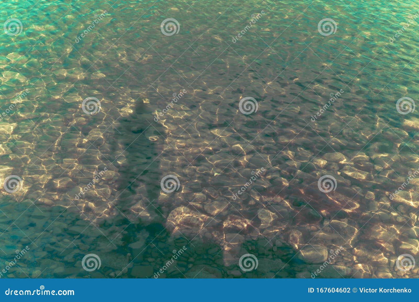 Shadow of a Person on Water Surface Stock Photo - Image of shadow, lake ...